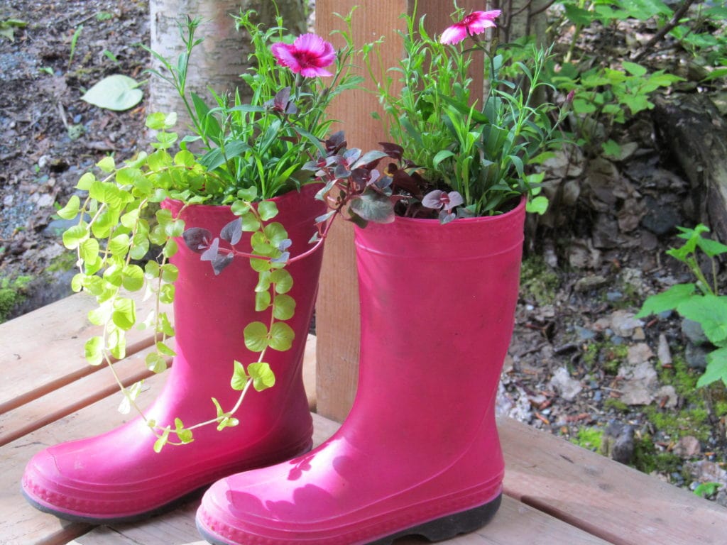 Plant Flowers in a Boot Just for the Fun of It! | Make it a Garden