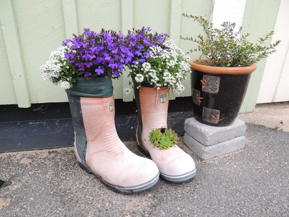 Plant Flowers in a Boot Just for the Fun of It! | Make it a Garden