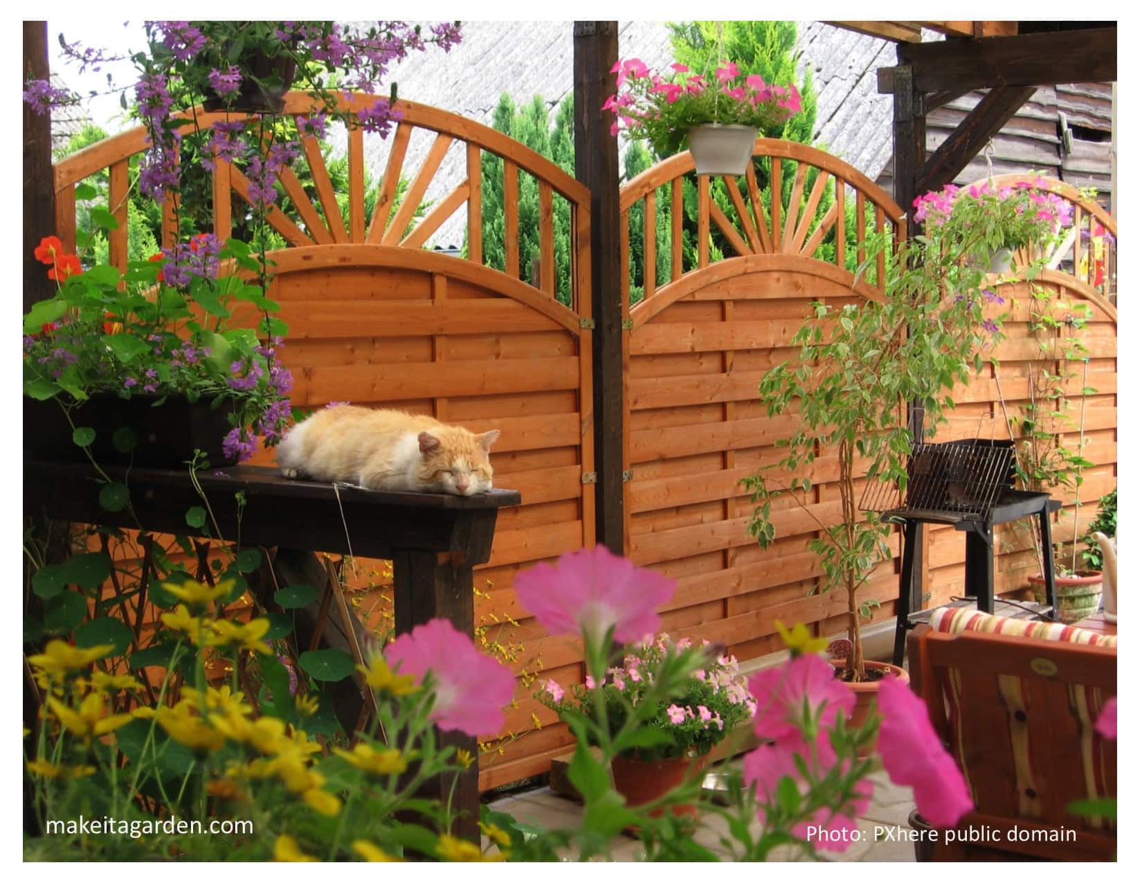 5 Terrific Ideas for a Garden Privacy Screen | Make it a Garden