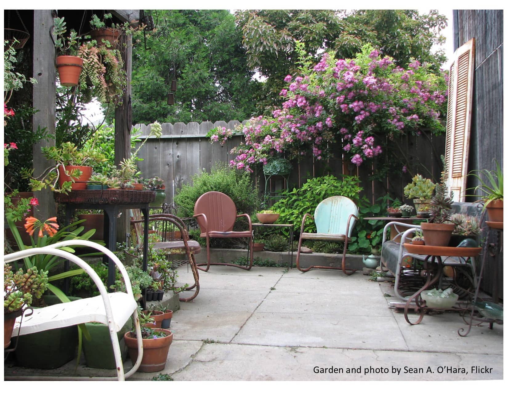 No Room for a Garden? Make a Little Courtyard! | Make it a Garden