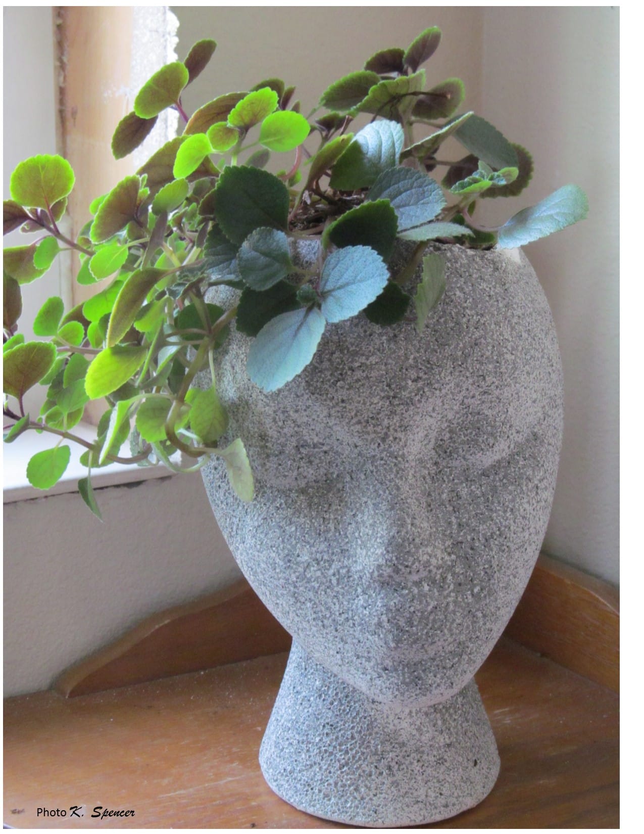 DIY decorative flower pot with natural stone | Make it a Garden