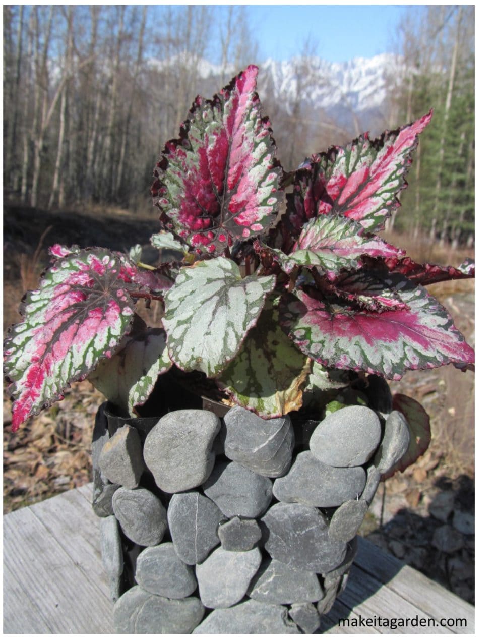 DIY decorative flower pot with natural stone | Make it a Garden