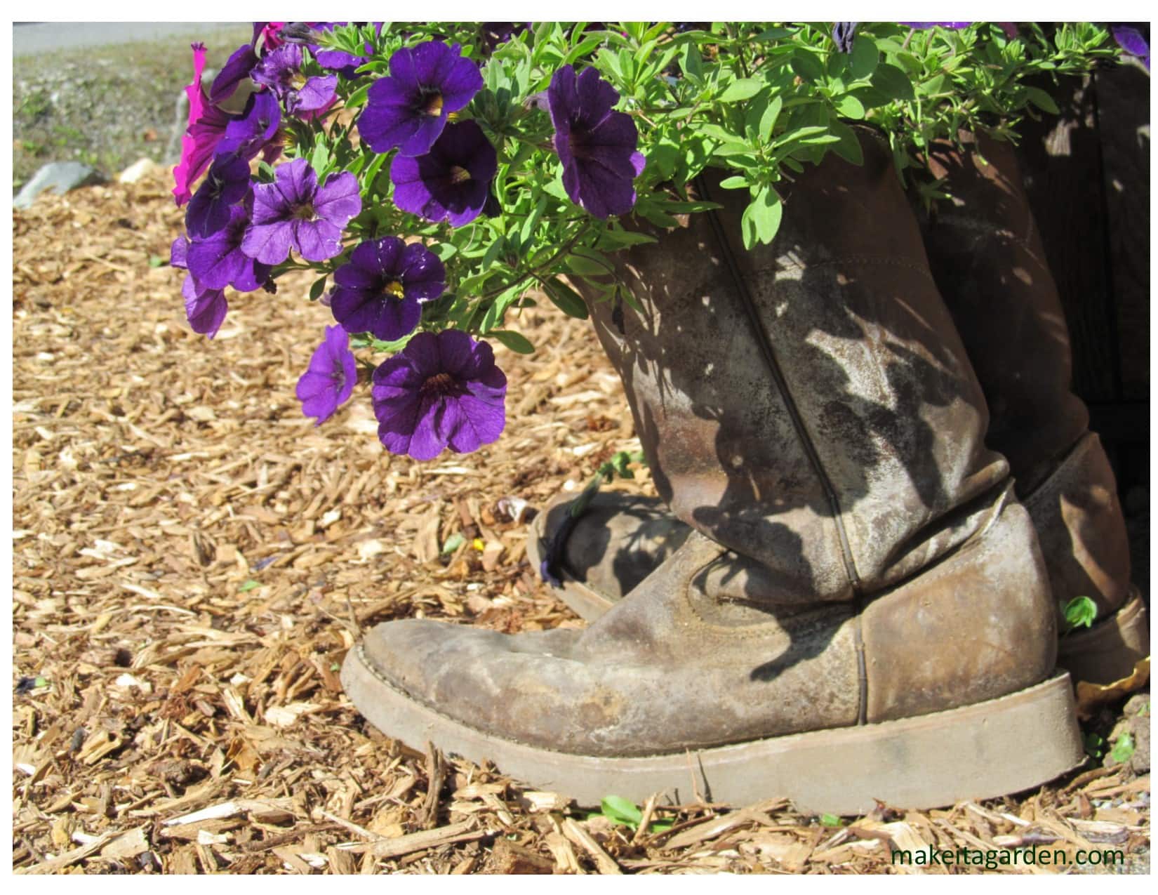Ablaze with color: How to have a dazzling flower garden | Make it a Garden